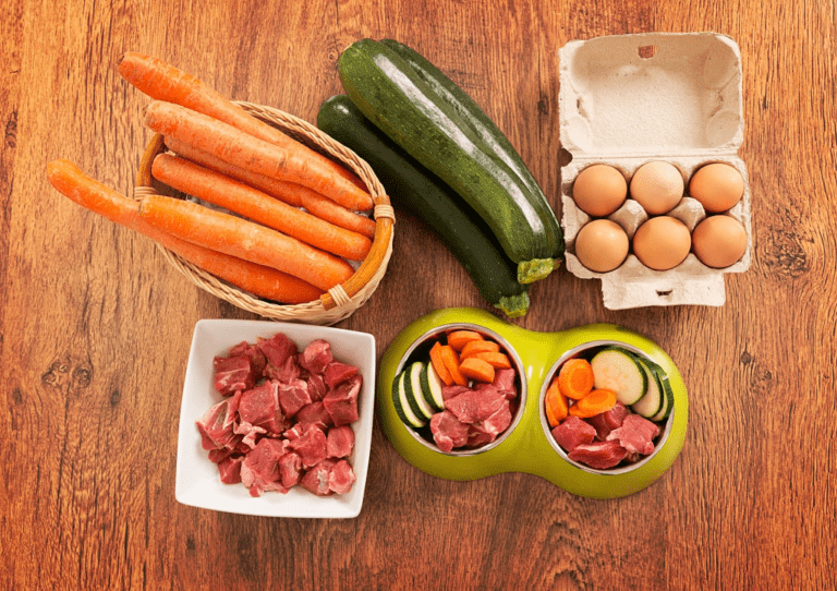 Cómo hacer comida barf para perros | RECETAS BARF
