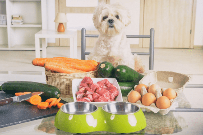 Cómo hacer comida barf para perros | RECETAS BARF