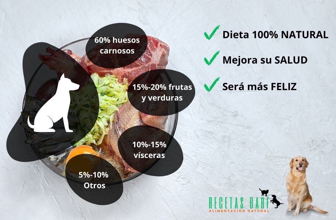 Aprende cómo hacer la transición a la dieta BARF