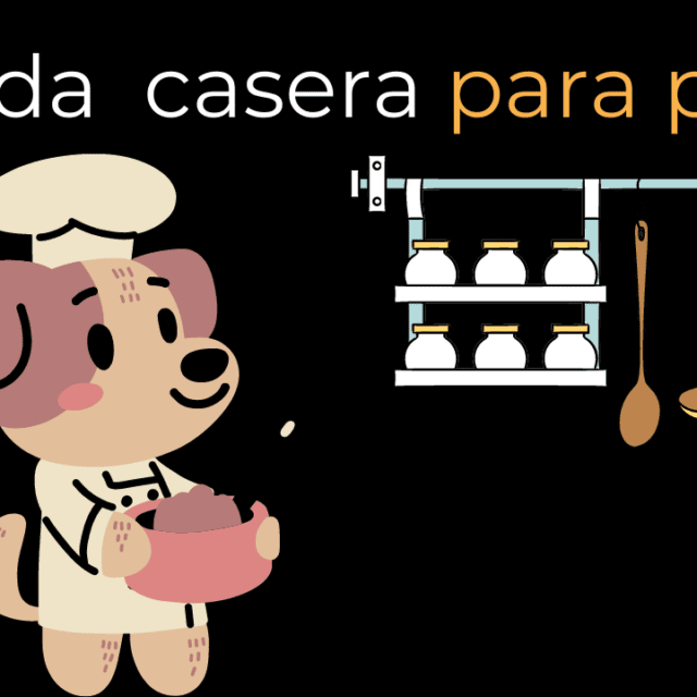 Comida casera para perros | RECETAS BARF