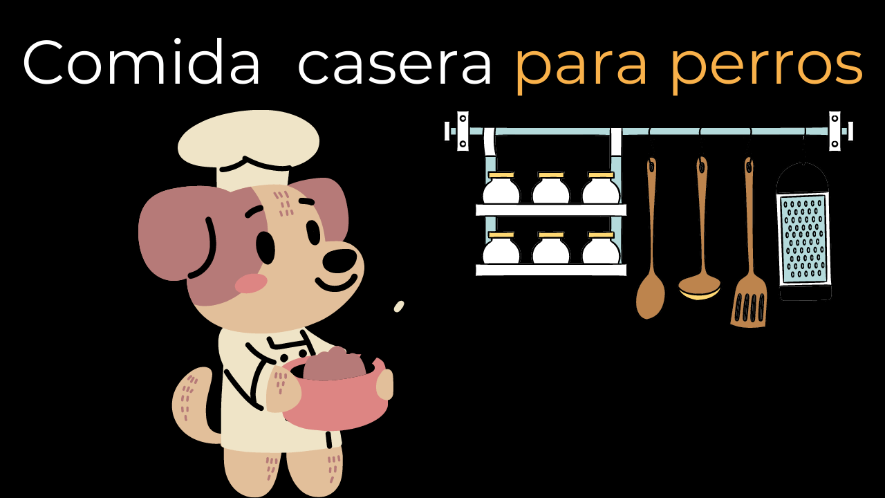 Comida casera para perros | RECETAS BARF