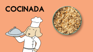 Comida casera para perros pequeños | RECETAS BARF