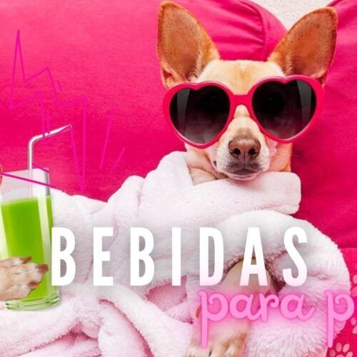 Pastel de carne para perros ️ ¡Fácil y Nutritivo! | RECETAS BARF