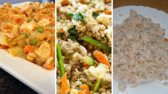 +77 Recetas de Comida Casera para Perros