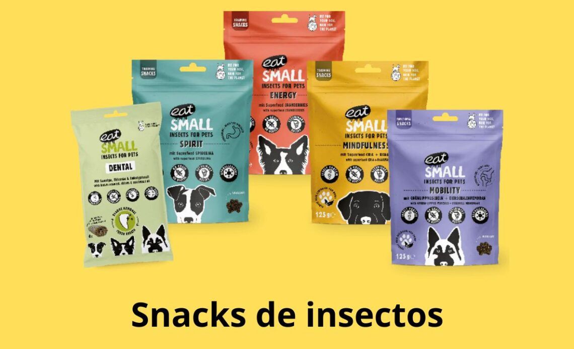 Snacks de insectos para perros | RECETAS BARF