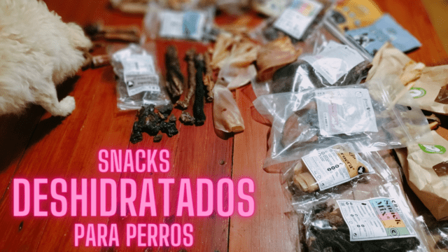 Cómo complementar la dieta natural de tu perro | RECETAS BARF