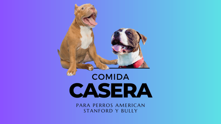 Blog de dieta BARF para Perros | RECETAS BARF