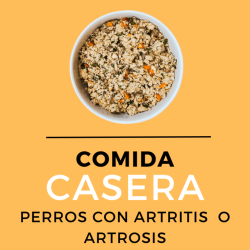 Comida casera para perros pequeños | RECETAS BARF
