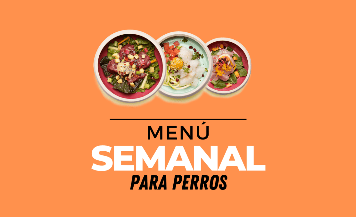 Menú semanal para perros 🥩 Dieta BARF y Cocinada