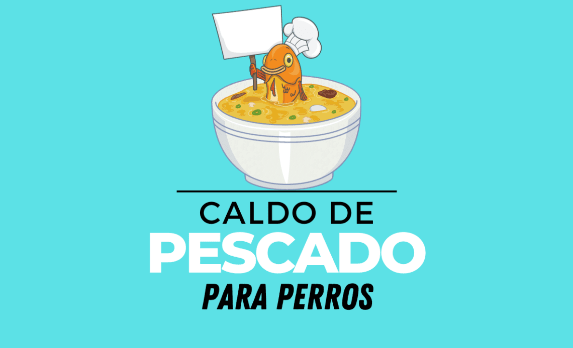 Caldo de pescado para perros | RECETAS BARF