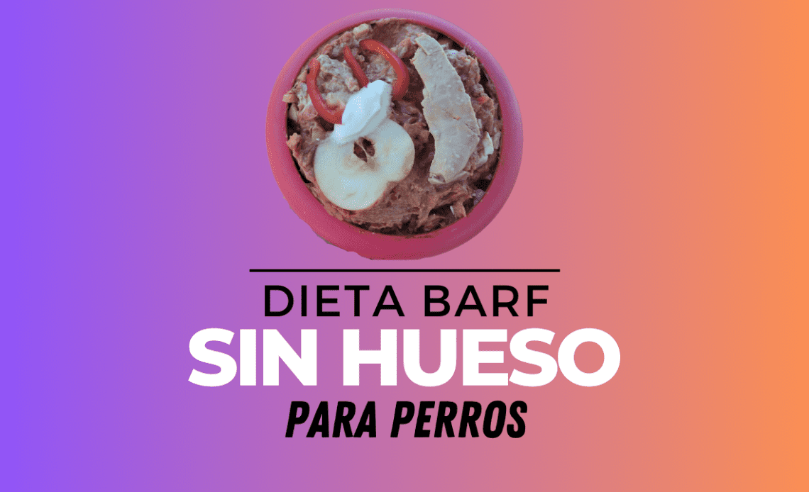 Receta de dieta BARF sin huesos para perros | RECETAS BARF