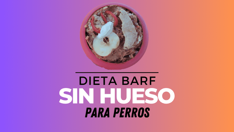 Blog de dieta BARF para Perros | RECETAS BARF