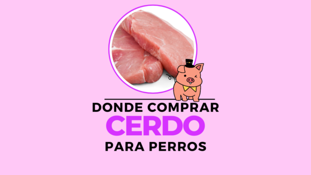 Blog de dieta BARF para Perros | RECETAS BARF